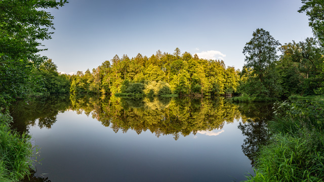 iStock by Getty Images | dirschl.com