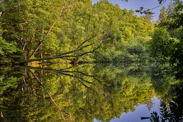 iStock by Getty Images | dirschl.com