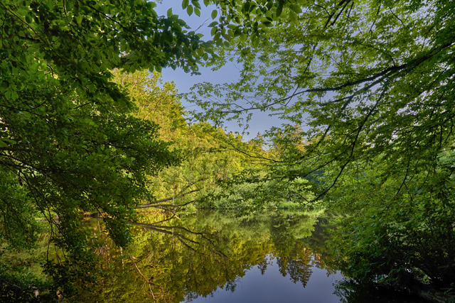 iStock by Getty Images | dirschl.com