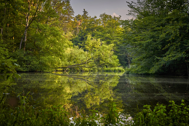 iStock by Getty Images | dirschl.com