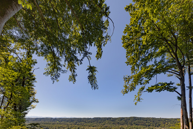 iStock by Getty Images | dirschl.com