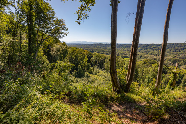 iStock by Getty Images | dirschl.com